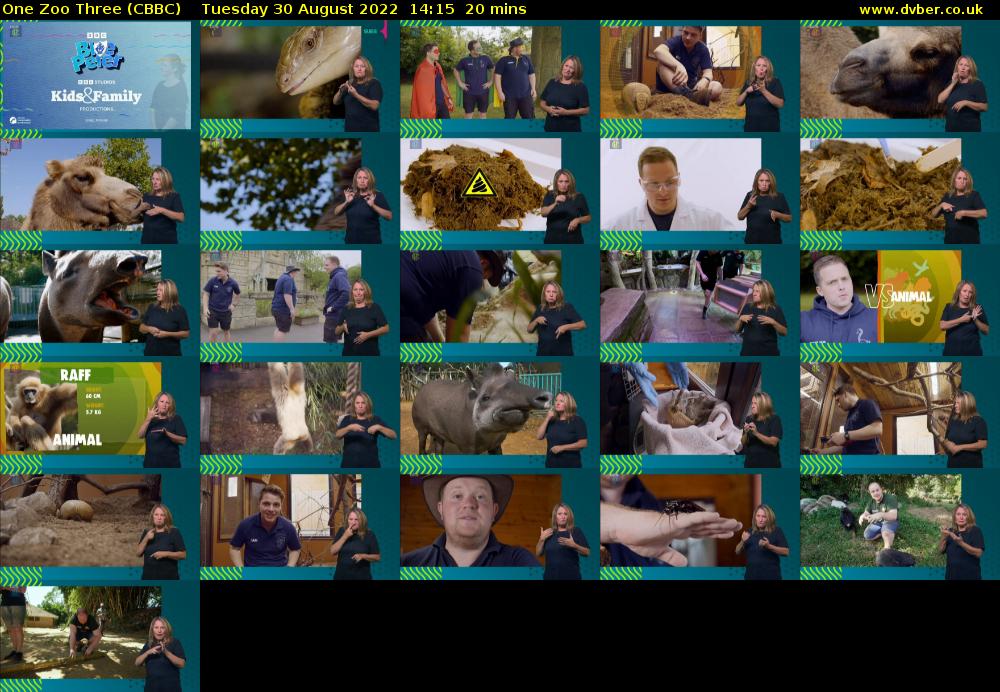 One Zoo Three (CBBC) - 2022-08-30-1415