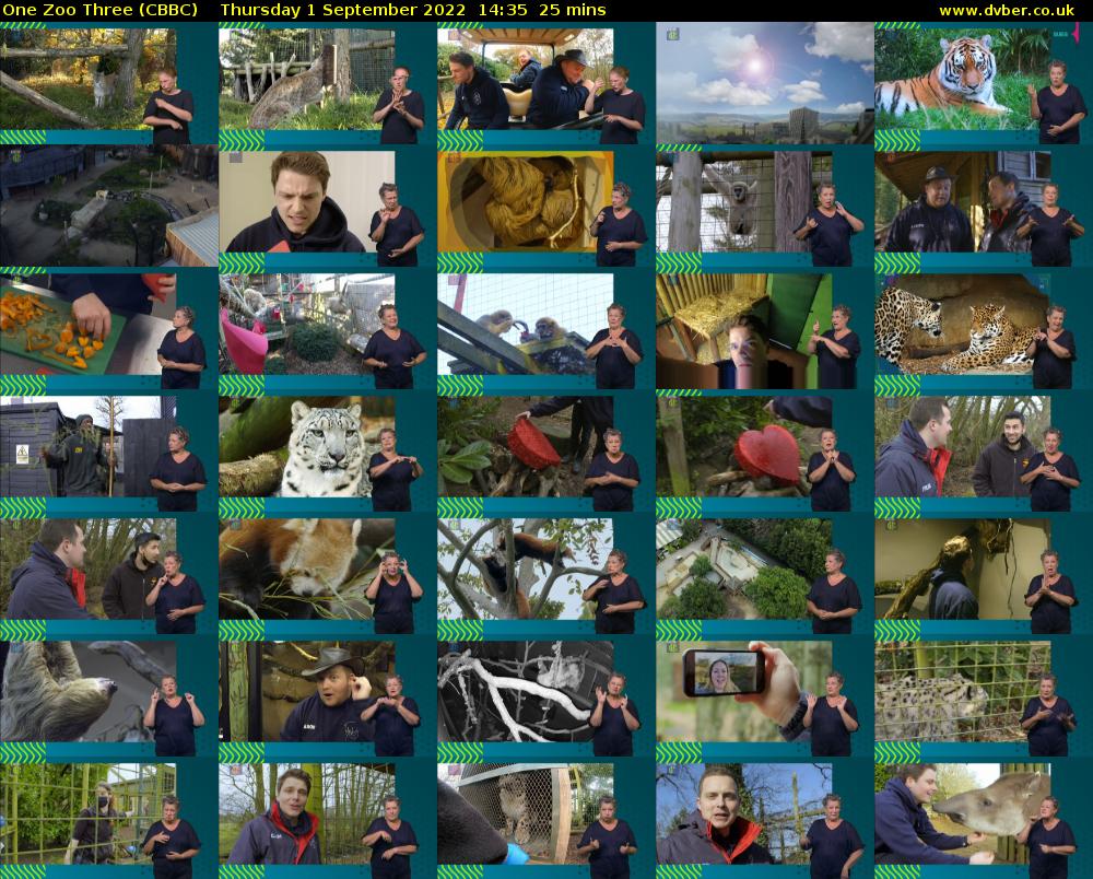 One Zoo Three (CBBC) - 2022-09-01-1435