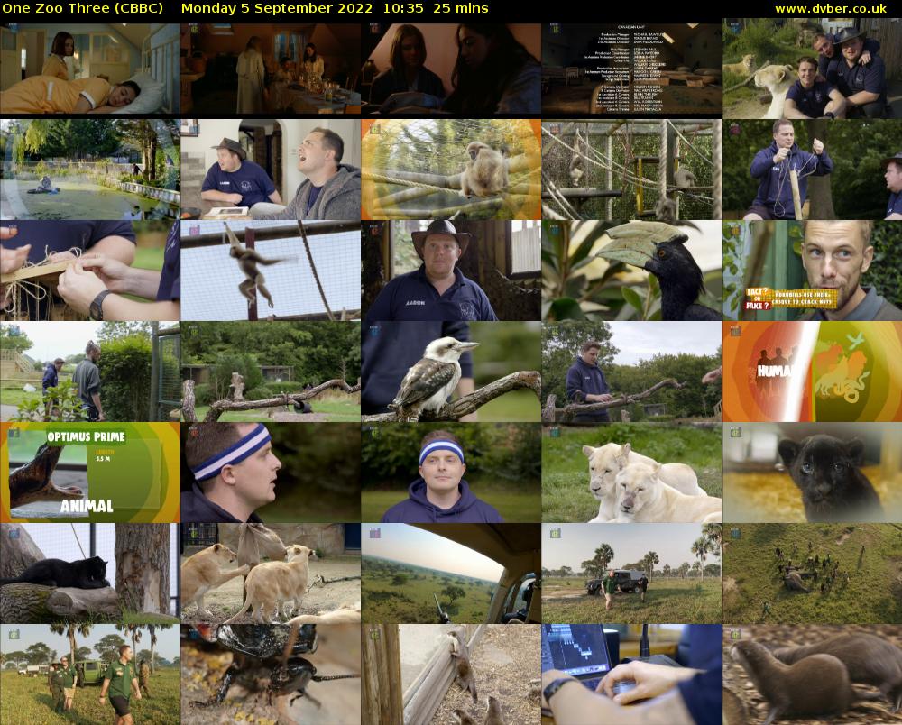 One Zoo Three (CBBC) - 2022-09-05-1035
