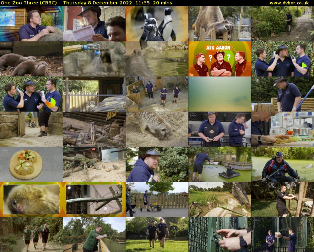 One Zoo Three (CBBC) - 2022-12-08-1135