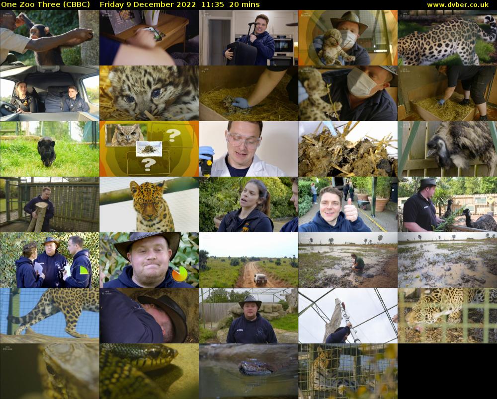 One Zoo Three (CBBC) - 2022-12-09-1135