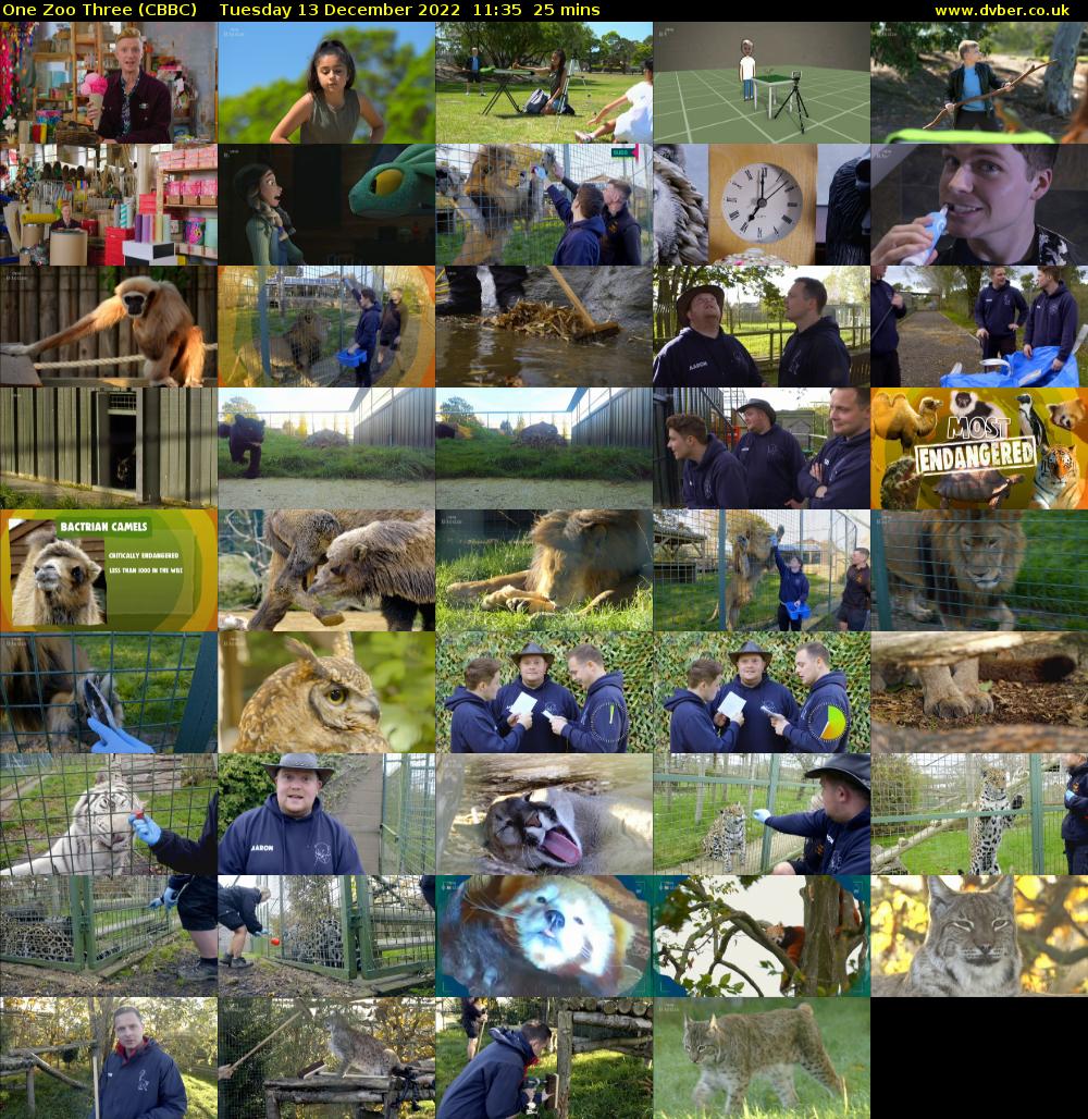 One Zoo Three (CBBC) - 2022-12-13-1135