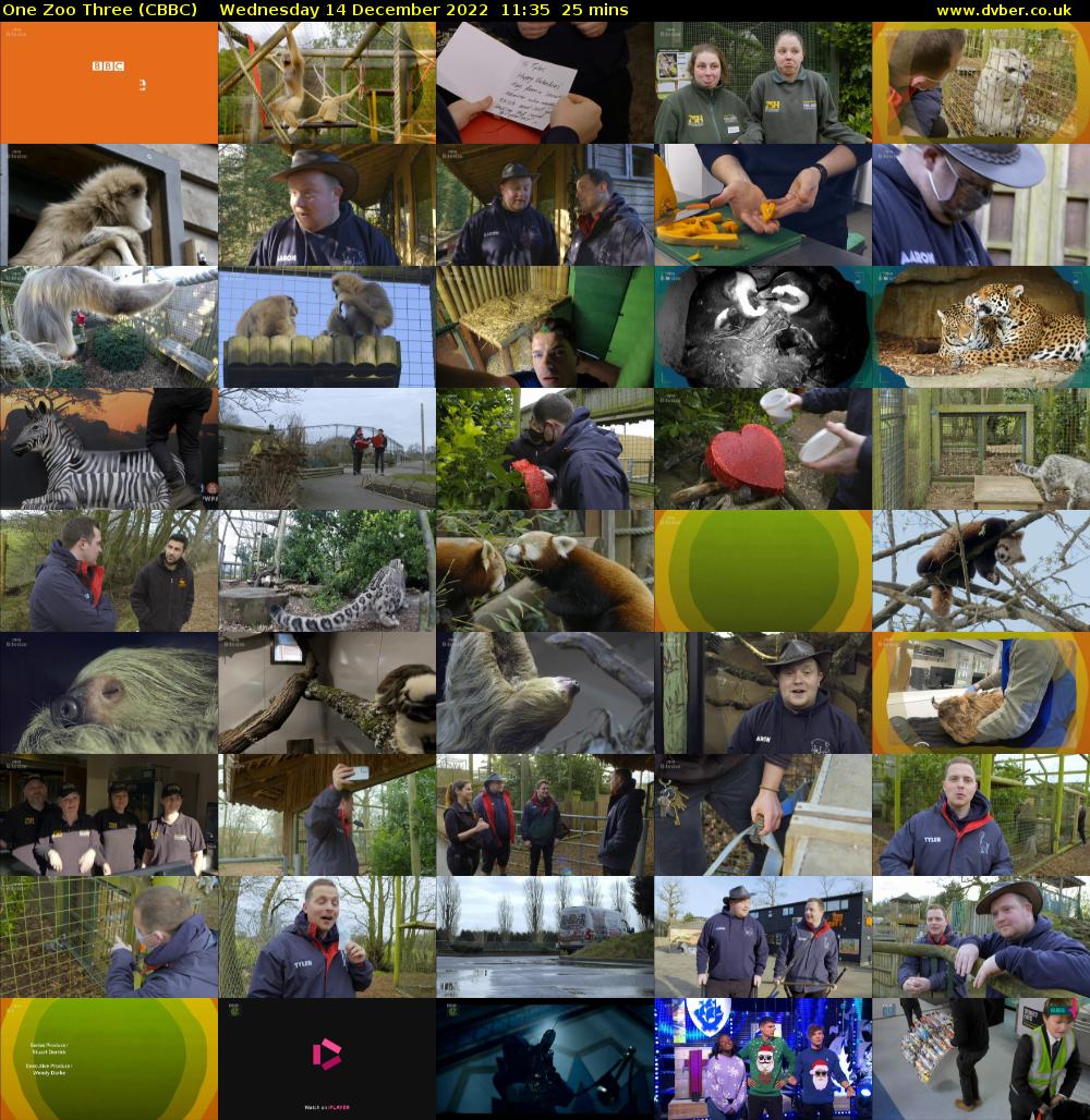 One Zoo Three (CBBC) - 2022-12-14-1135