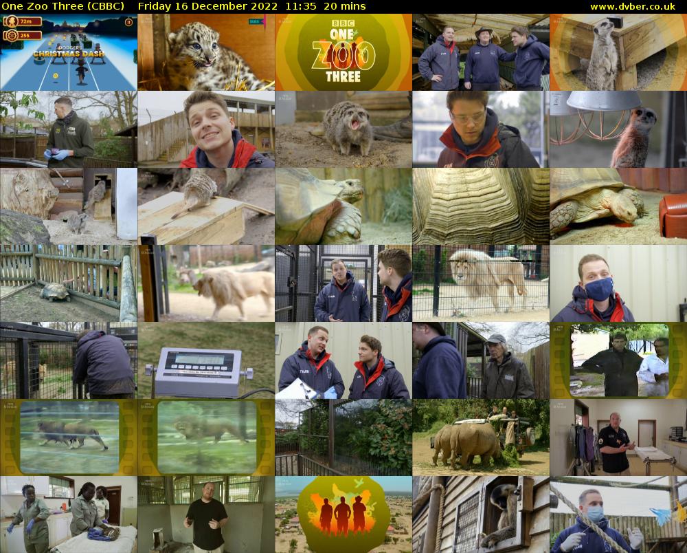 One Zoo Three (CBBC) - 2022-12-16-1135