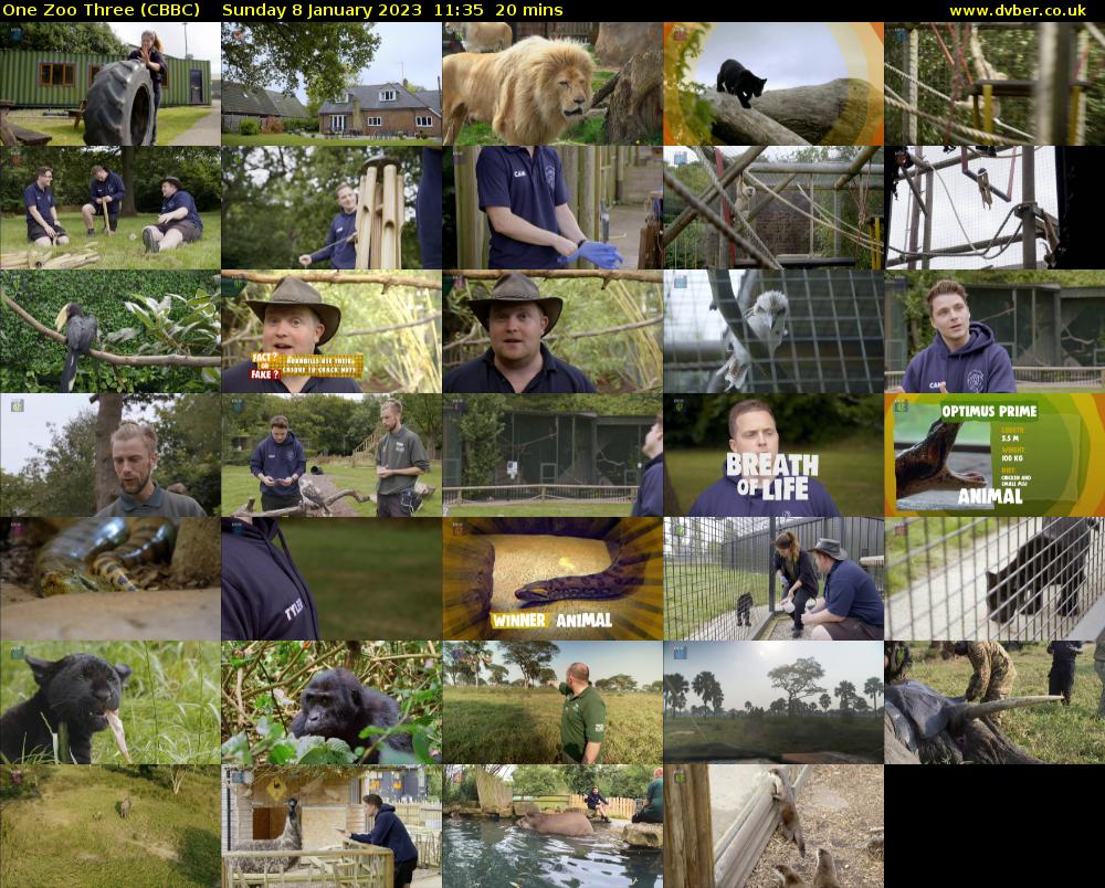 One Zoo Three (CBBC) - 2023-01-08-1135