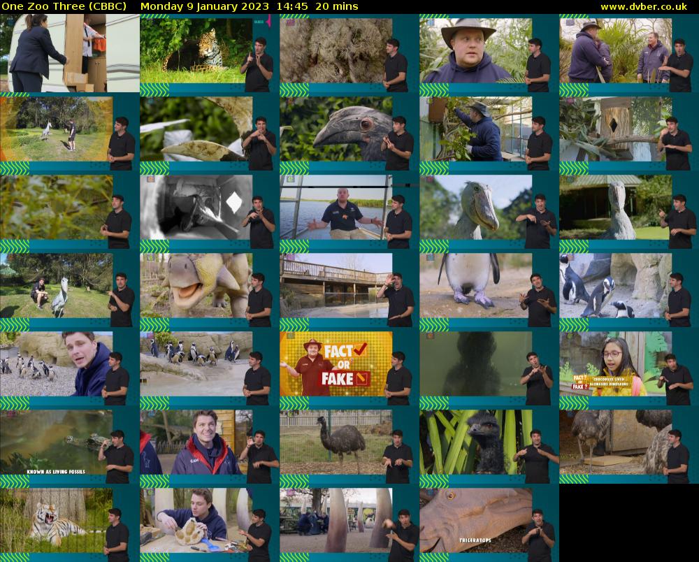 One Zoo Three (CBBC) - 2023-01-09-1445