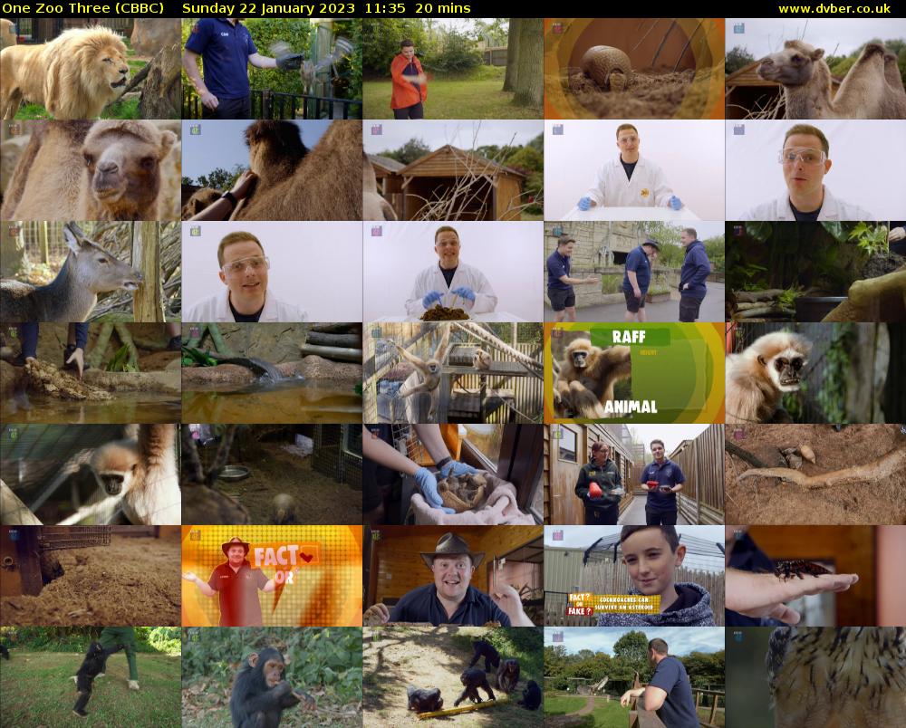 One Zoo Three (CBBC) - 2023-01-22-1135
