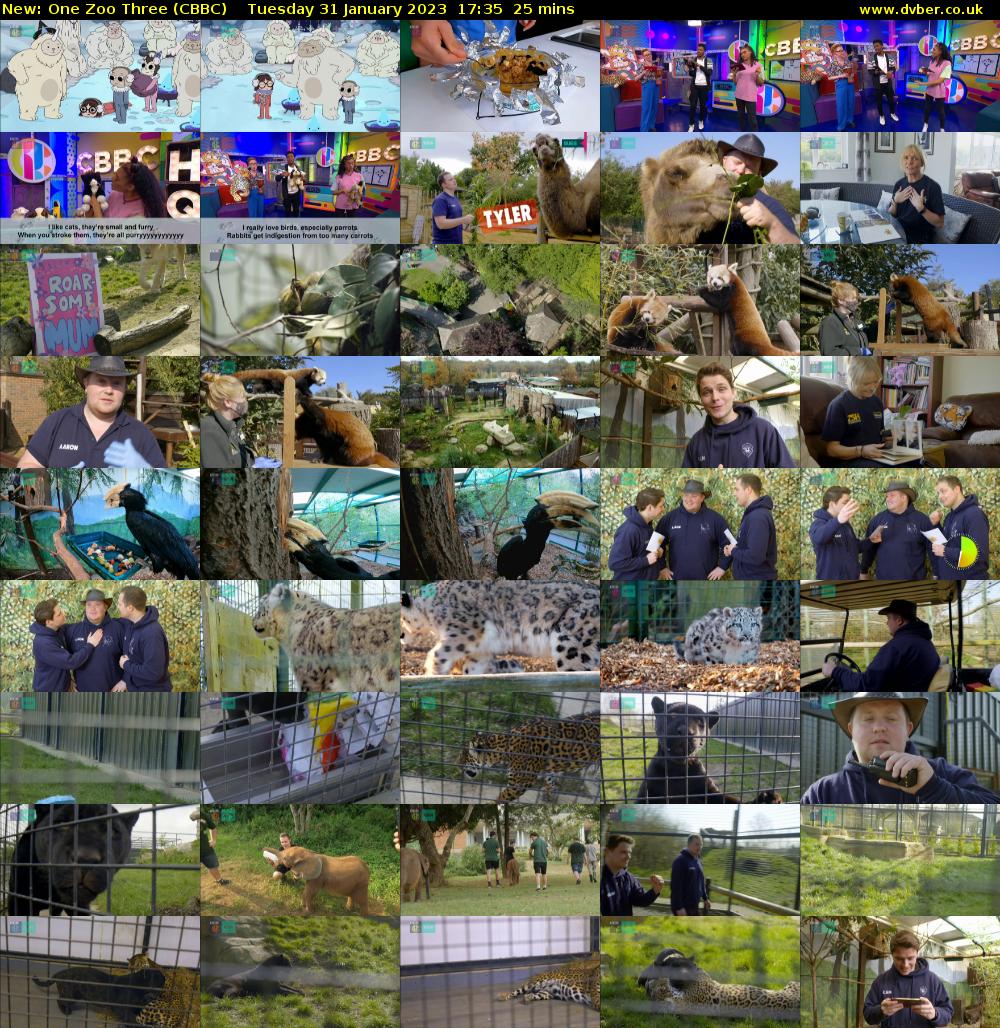 One Zoo Three (CBBC) - 2023-01-31-1735