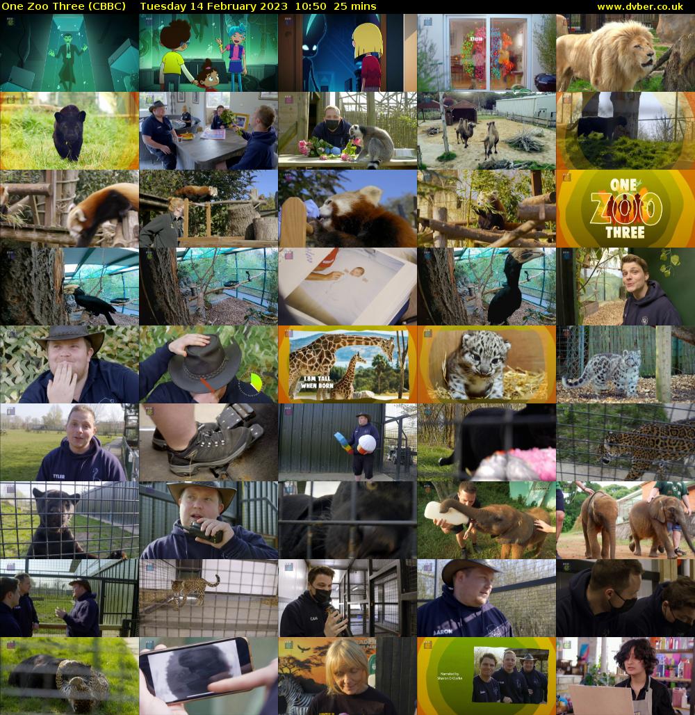 One Zoo Three (CBBC) - 2023-02-14-1050
