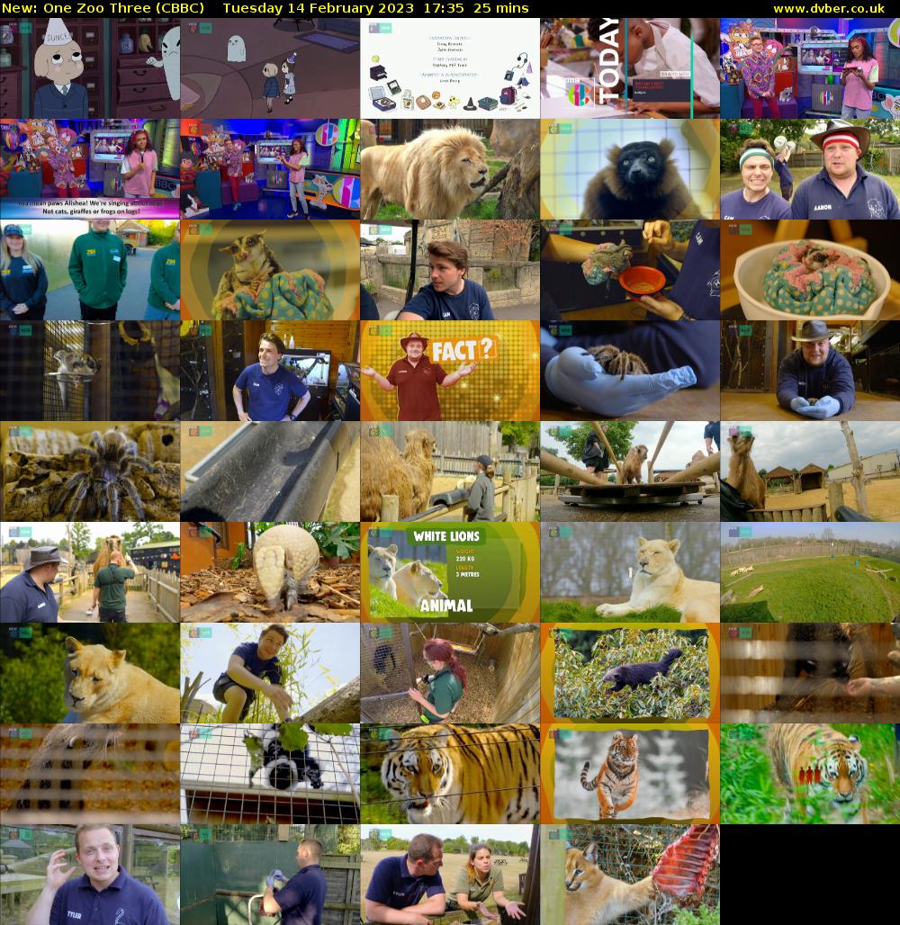 One Zoo Three (CBBC) - 2023-02-14-1735