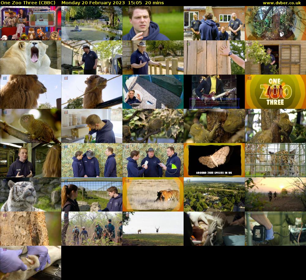One Zoo Three (CBBC) - 2023-02-20-1505