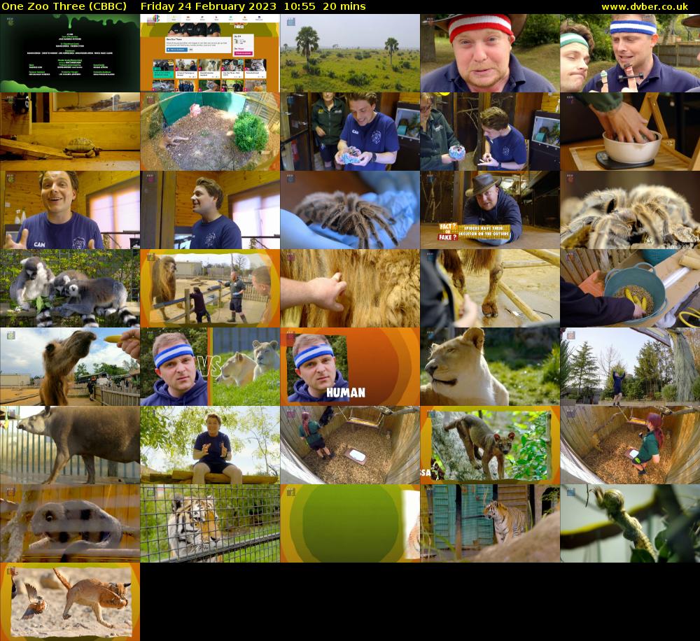 One Zoo Three (CBBC) - 2023-02-24-1055