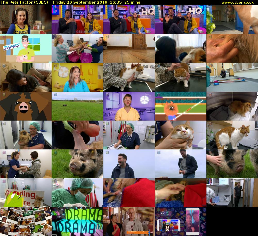 The Pets Factor (CBBC) - 2019-09-20-1635