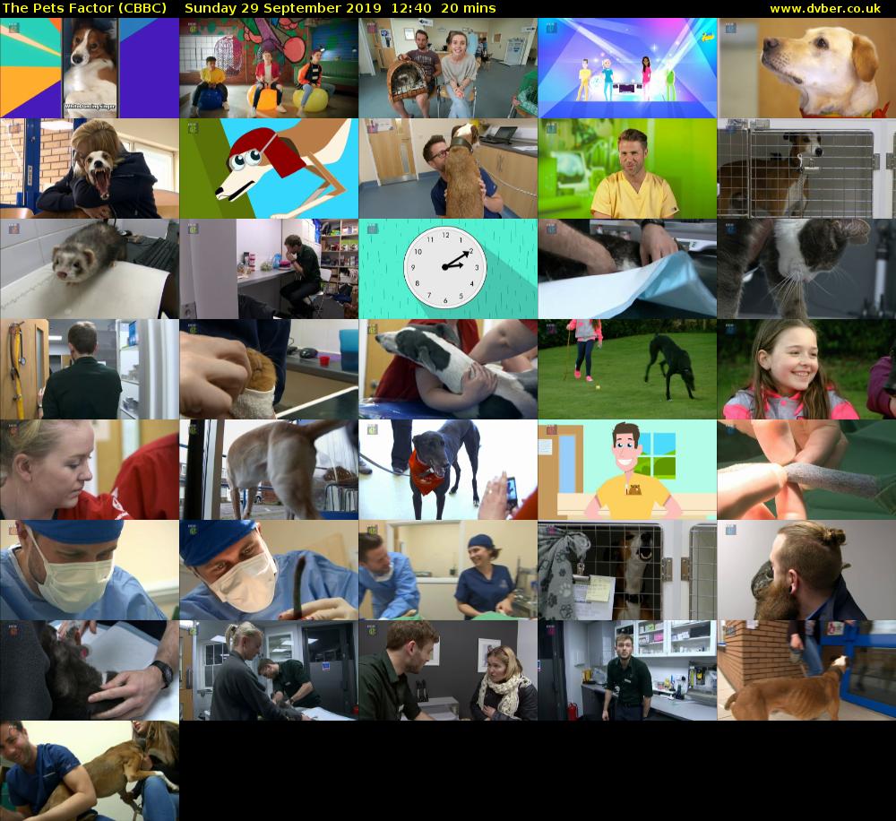 The Pets Factor (CBBC) - 2019-09-29-1240