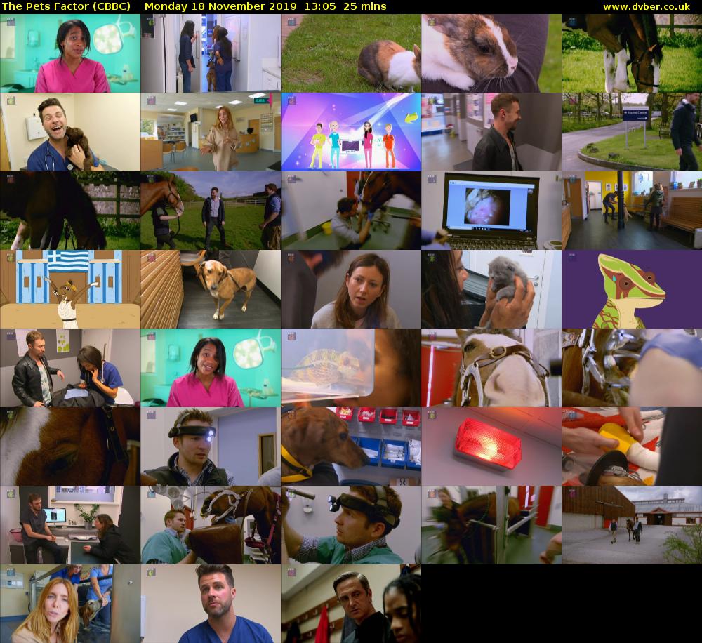 The Pets Factor (CBBC) - 2019-11-18-1305