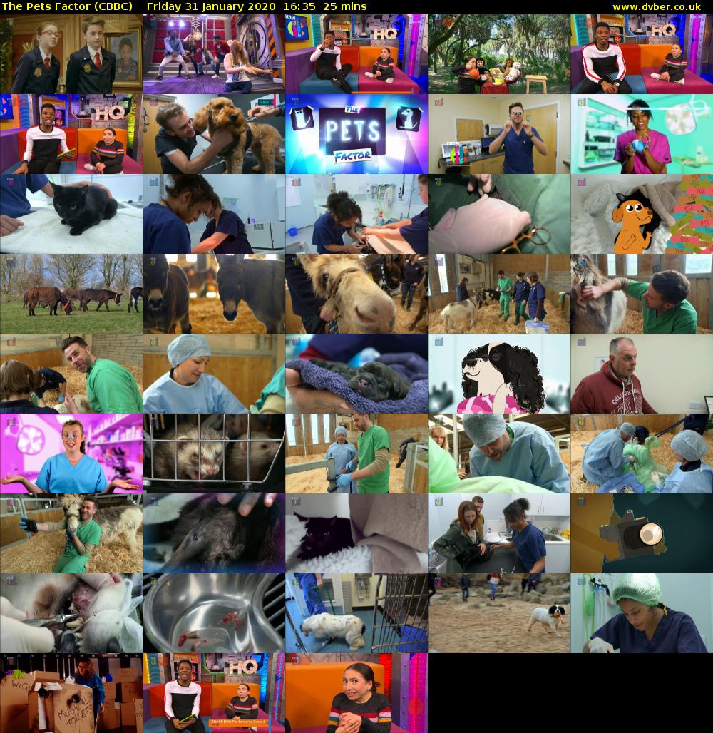 The Pets Factor (CBBC) - 2020-01-31-1635