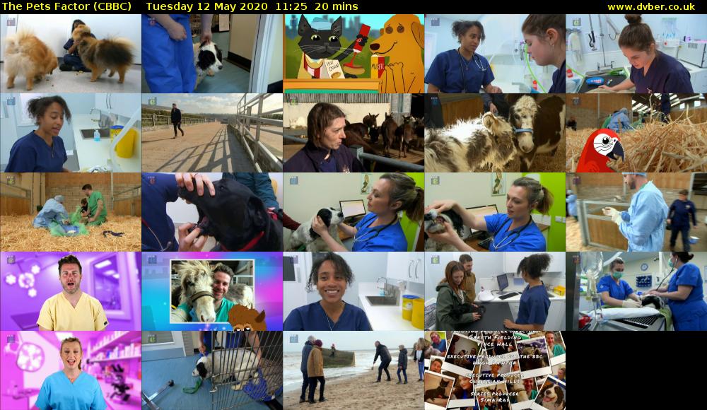 The Pets Factor (CBBC) - 2020-05-12-1125