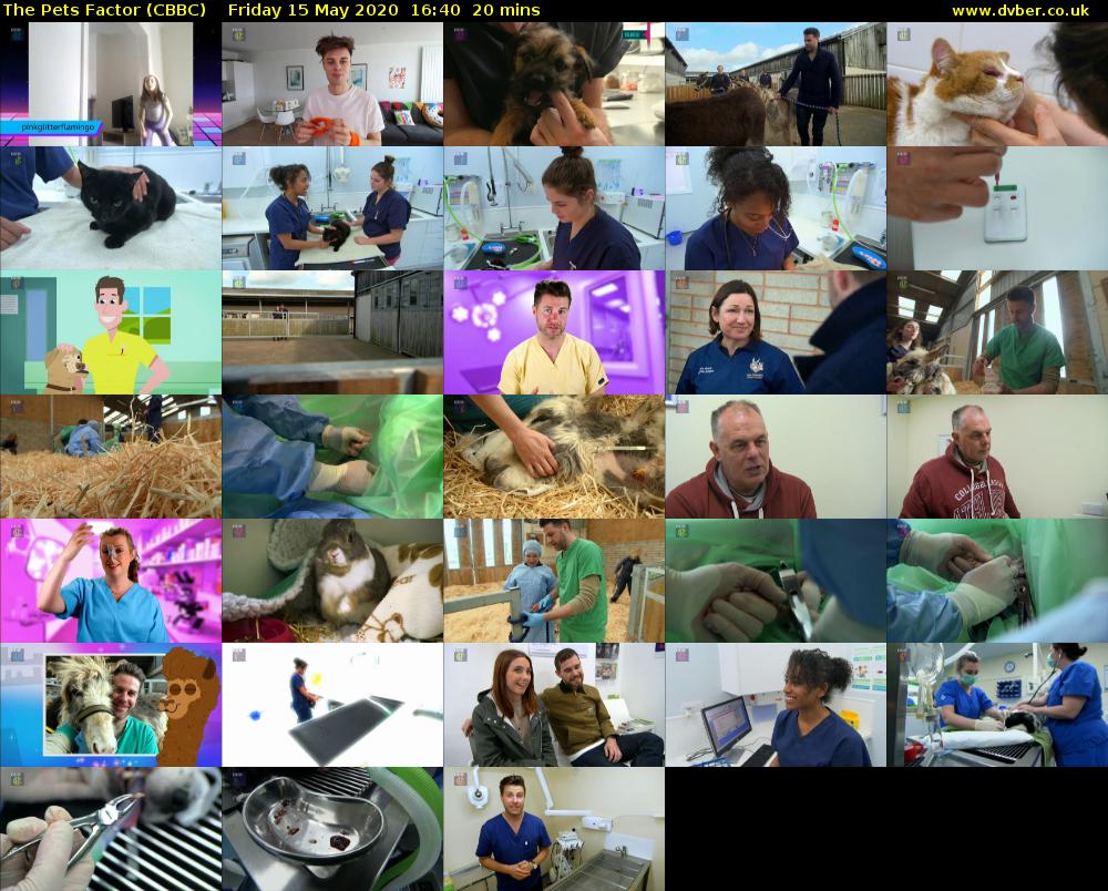 The Pets Factor (CBBC) - 2020-05-15-1640