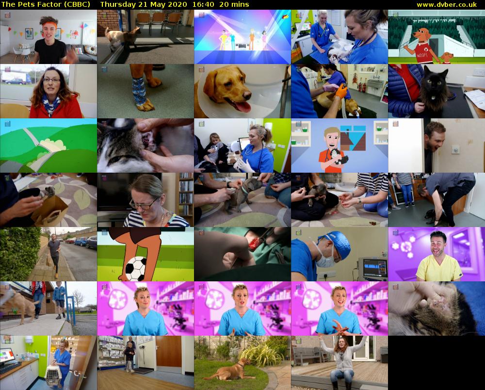 The Pets Factor (CBBC) - 2020-05-21-1640