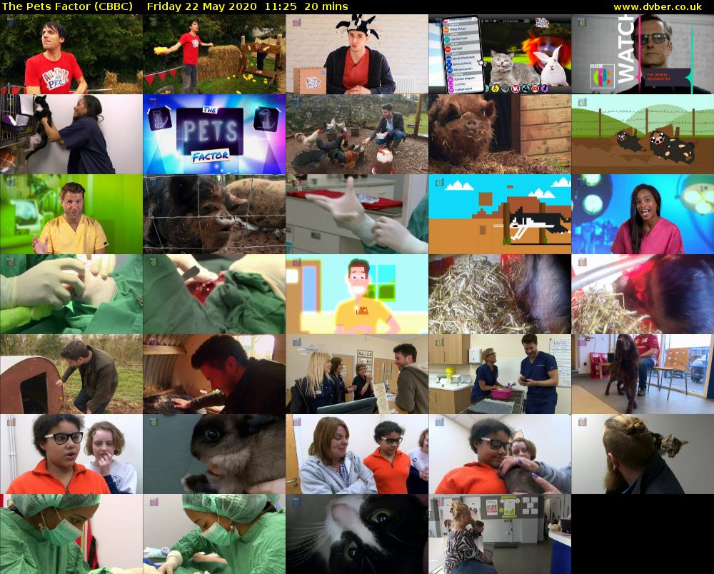 The Pets Factor (CBBC) - 2020-05-22-1125