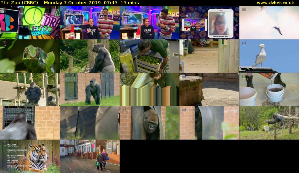 The Zoo (CBBC) - 2019-10-07-0745