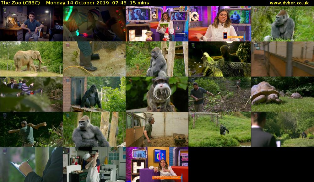The Zoo (CBBC) - 2019-10-14-0745