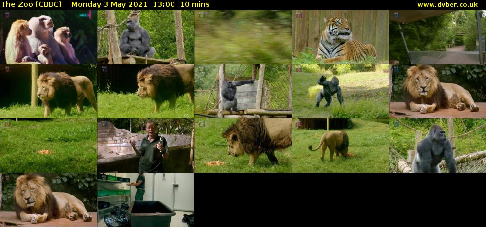 The Zoo (CBBC) - 2021-05-03-1300
