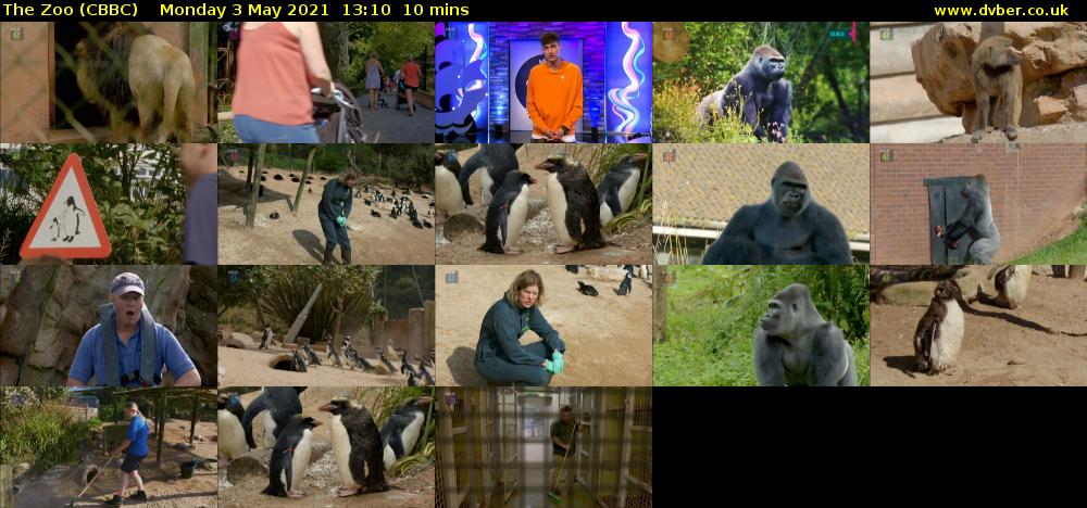 The Zoo (CBBC) - 2021-05-03-1310