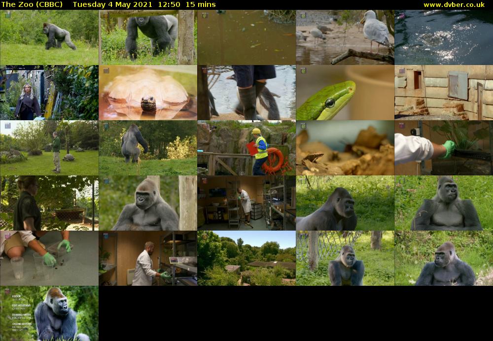 The Zoo (CBBC) - 2021-05-04-1250