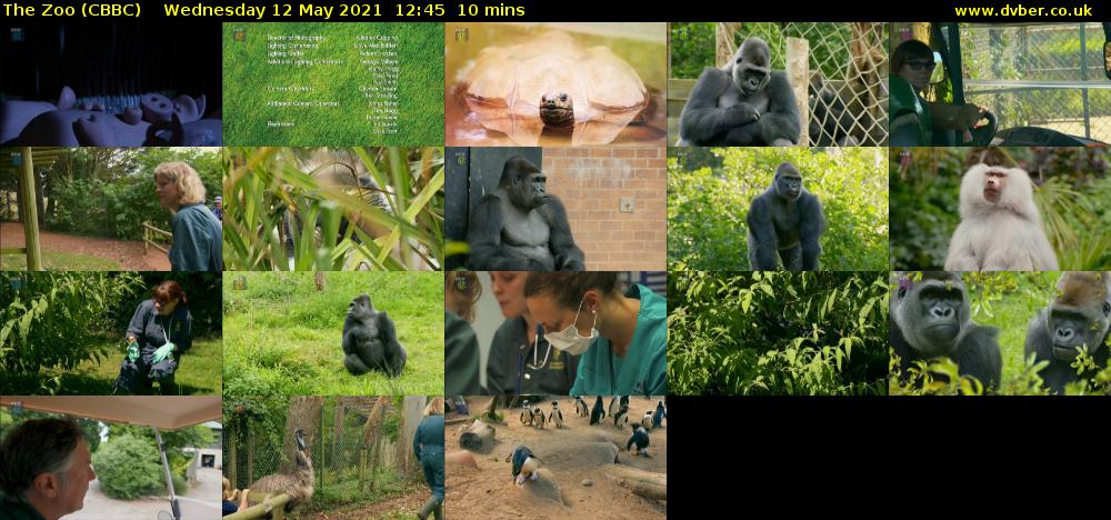 The Zoo (CBBC) - 2021-05-12-1245