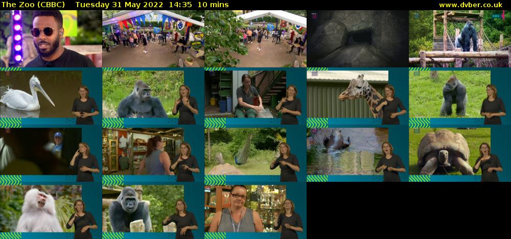 The Zoo (CBBC) - 2022-05-31-1435