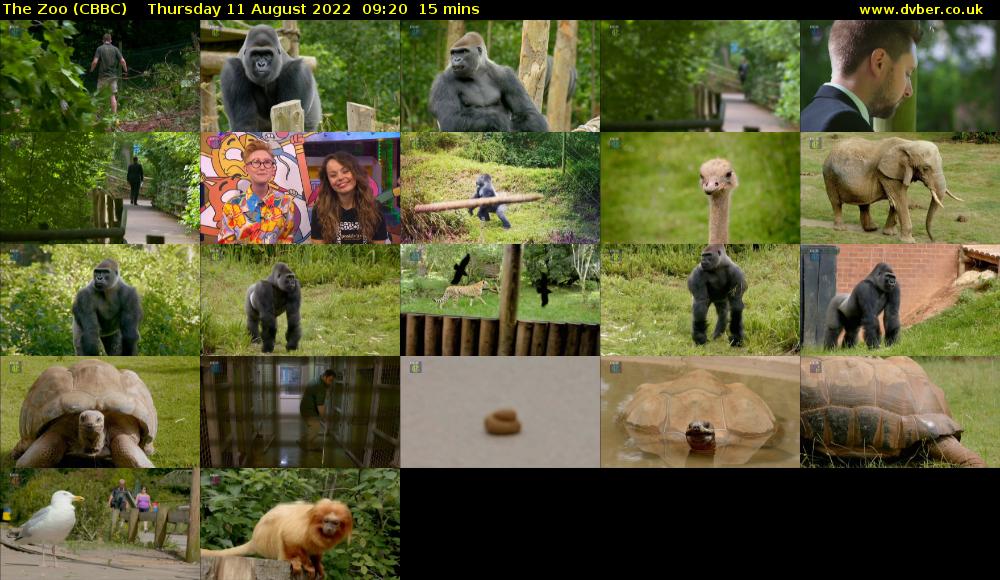 The Zoo (CBBC) - 2022-08-11-0920