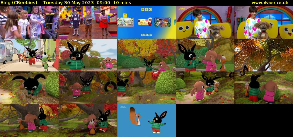 Bing (CBeebies) - 2023-05-30-0900