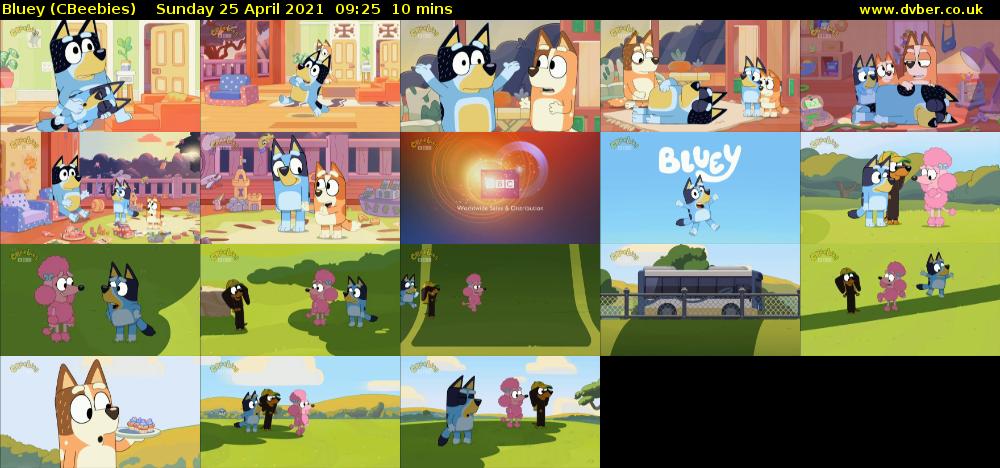 Bluey (CBeebies) - 2021-04-25-0925
