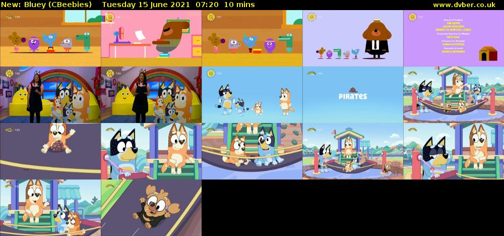 Bluey (CBeebies) - 2021-06-15-0720