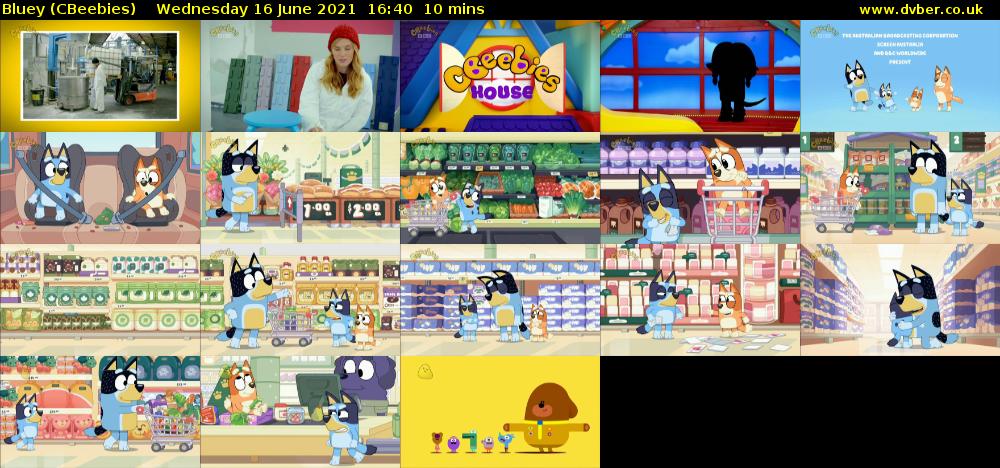 Bluey (CBeebies) - 2021-06-16-1640