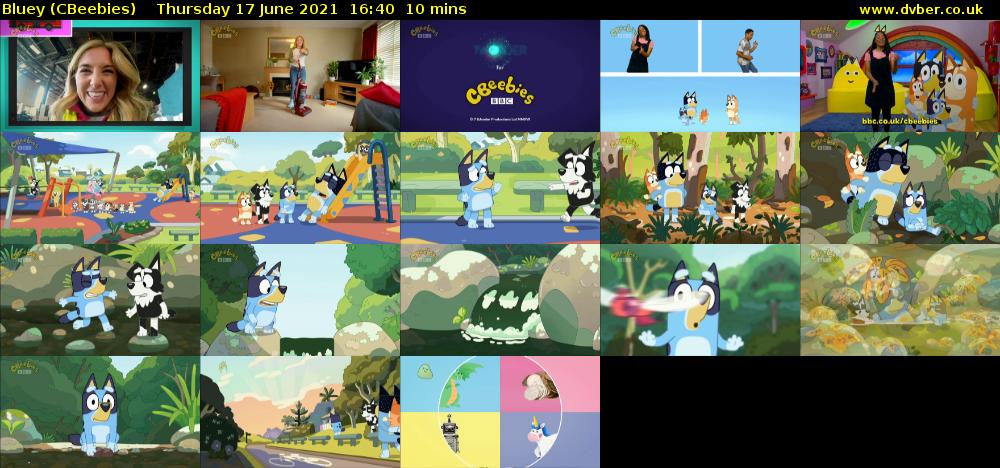Bluey (CBeebies) - 2021-06-17-1640