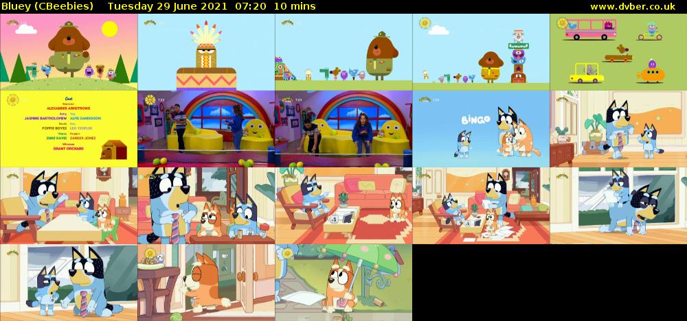 Bluey (CBeebies) - 2021-06-29-0720