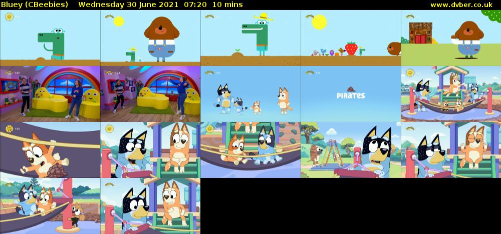 Bluey (CBeebies) - 2021-06-30-0720