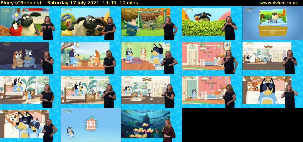 Bluey (CBeebies) - 2021-07-17-1445