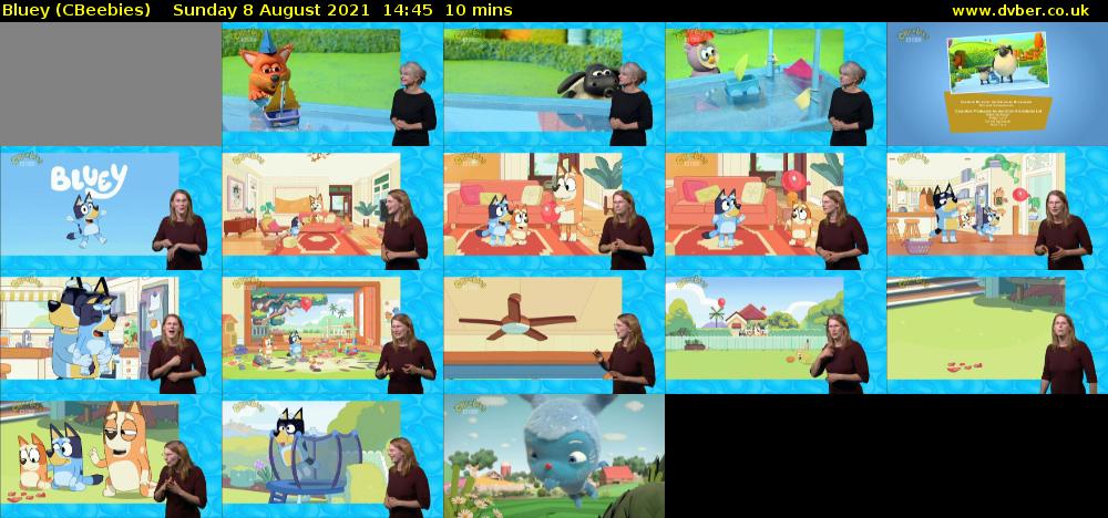 Bluey (CBeebies) - 2021-08-08-1445