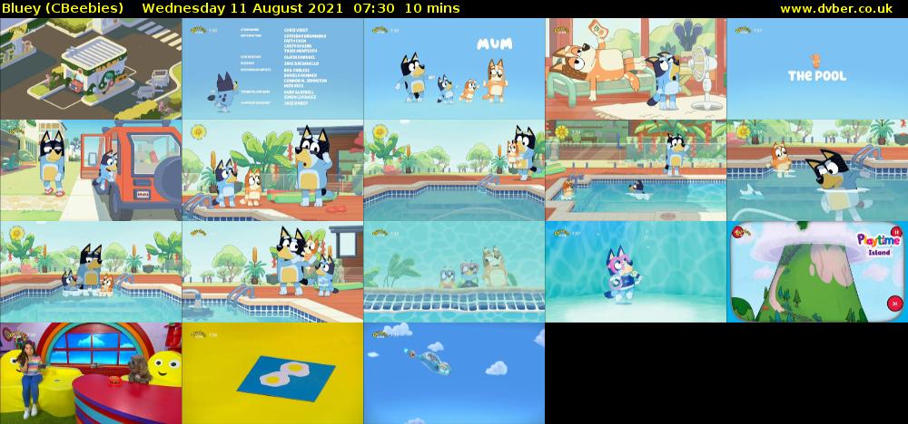 Bluey (CBeebies) - 2021-08-11-0730