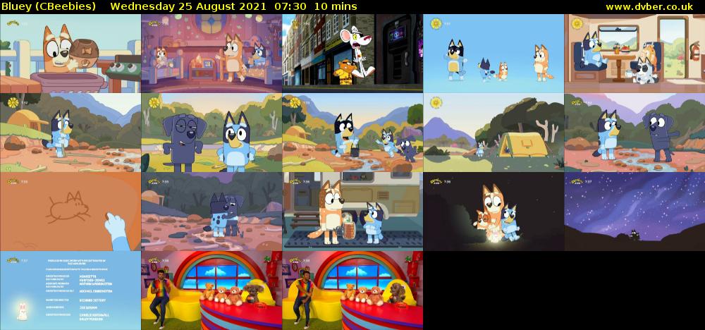 Bluey (CBeebies) - 2021-08-25-0730