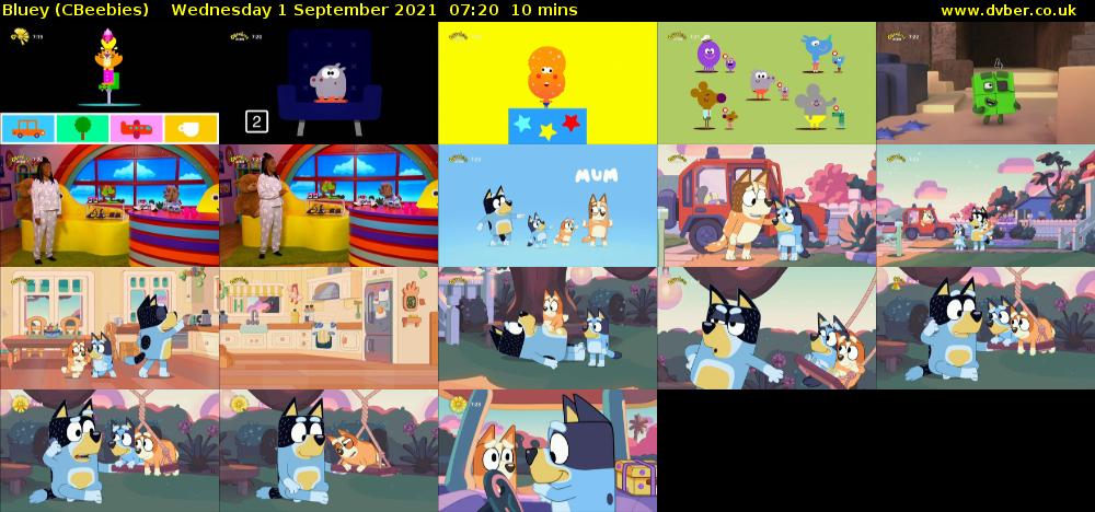 Bluey (CBeebies) - 2021-09-01-0720