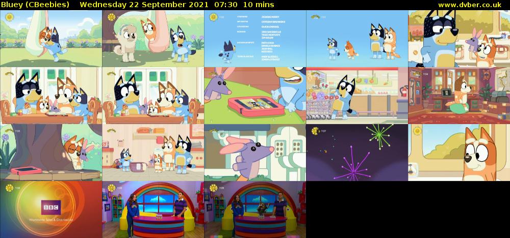 Bluey (CBeebies) - 2021-09-22-0730
