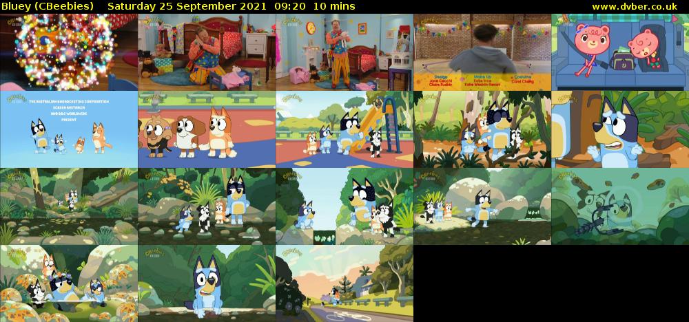 Bluey (CBeebies) - 2021-09-25-0920