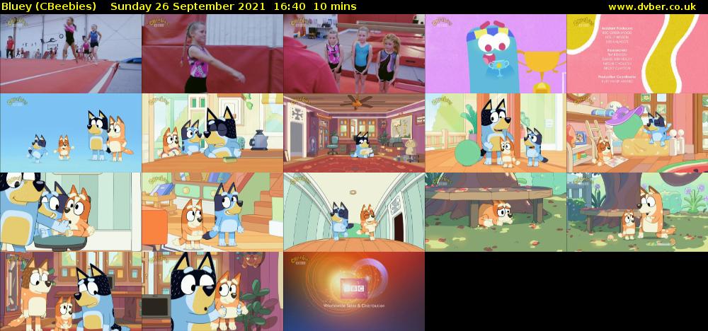 Bluey (CBeebies) - 2021-09-26-1640