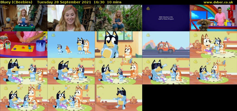 Bluey (CBeebies) - 2021-09-28-1630