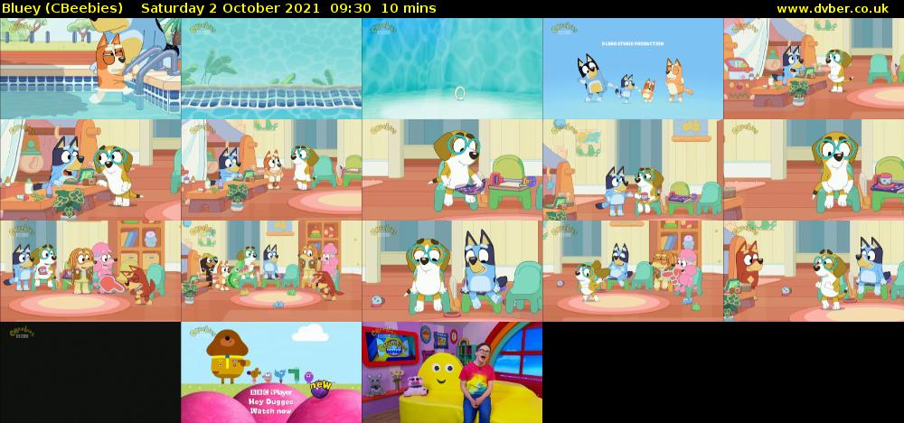 Bluey (CBeebies) - 2021-10-02-0930