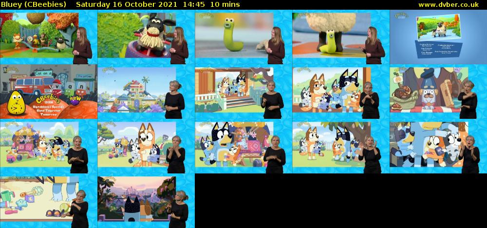 Bluey (CBeebies) - 2021-10-16-1445